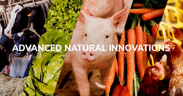 Biodevas Laboratoires Startseite